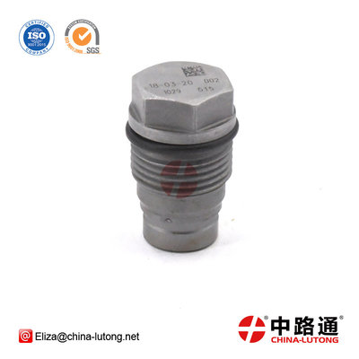 Fuel Pressure Limiting Relief Valve 1 110 010 029 high pressure limiter supplier