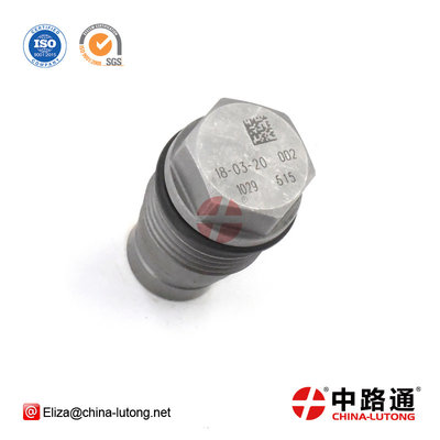 Fuel Pressure Limiting Relief Valve 1 110 010 029 high pressure limiter supplier