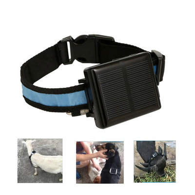 wholesale mini solar gps cow Cattle animal long standby time gps tracker lifetime free use platfrom support app