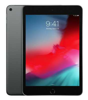 NEW Apple iPad Mini (5th Generation) 64GB, Wi-Fi, 7.9in - Space Gray