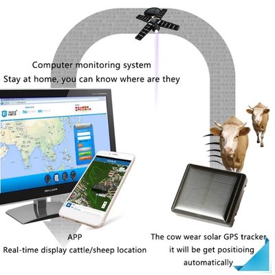 wholesale new  V26 Pet Solar GPS Tracker Dog Cat Locator Finder Waterproof Anti-Lost Alarm
