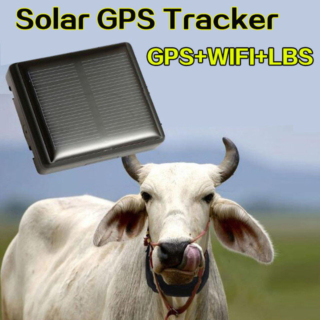 wholesale mini solar gps cow Cattle animal long standby time gps tracker lifetime free use platfrom support app