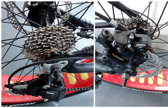 Custom Motorised Aluminum Alloy Electric Fat Bike With Shimano Disc Brakes