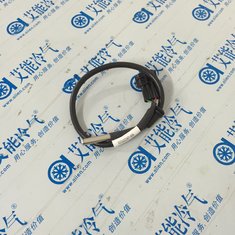 China SENSOR ASSEMBLY, TEMPERATURE 025L02247-000  AWHC100/180/200 supplier