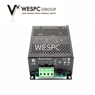 Auto Standby Generator Battery Charger supplier