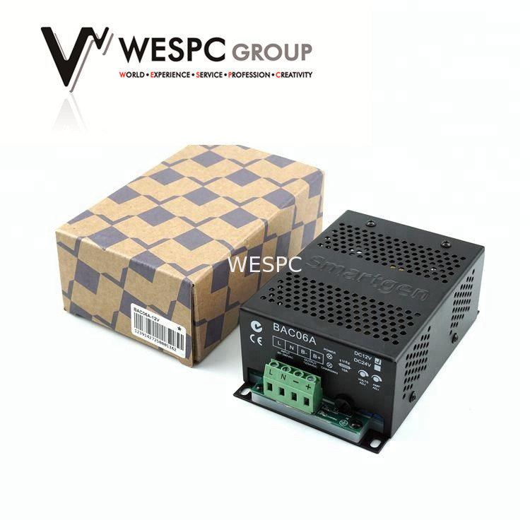 Auto Standby Generator Battery Charger supplier