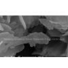 China Nano Hydroxyapatite  Powder 5 supplier