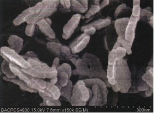 China Nano Bismuth Trioxide supplier