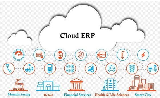 China OEM Distribution Erp Software , Health / Life Sciences Dynamics Erp Cloud supplier