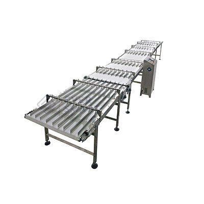Biscuit Automatic Packaging Line