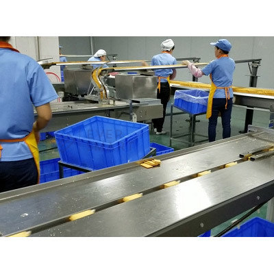 Vibrator feeder