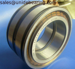 China SL045014PP double row full complement cylindrical roller bearing,sealed bearing supplier