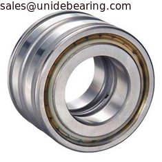 China SL045006-PP double row full complement cylindrical roller bearing,sealed bearing supplier