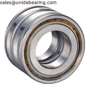 SL045005-PP.2NR double row full complement cylindrical roller bearing,sealed bearing supplier