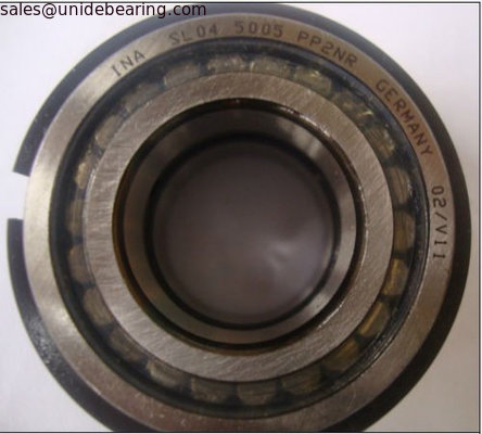 SL045005-PP double row full complement cylindrical roller bearing,sealed bearing supplier