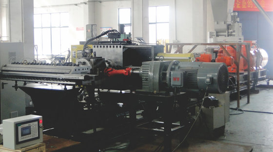 China One-Step PE+starch biodegradable Sheet Extrusion machine line on sale supplier