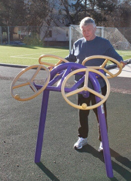 4 Wheels Park Tai Chi Spinner Adjustable Resistance For Senior Citizen