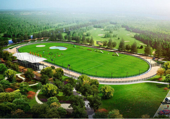 PE Yarn Recycled Fake Artificial Grass For Sports Anti - Aging High Density
