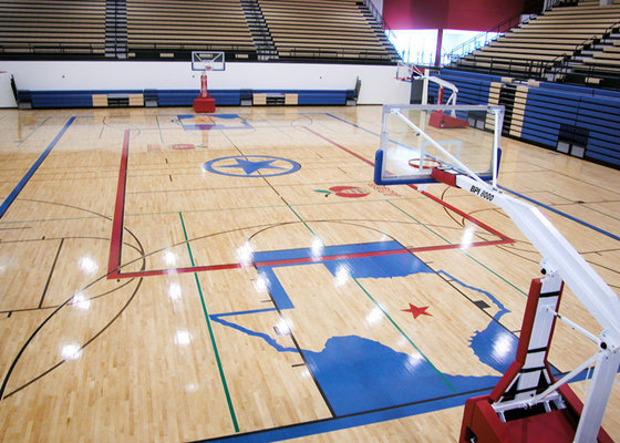Commercial Recycled Table Tennis Court Portable Superior Stain Resistance