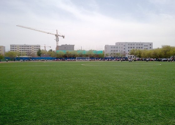 Artificial Plastic Planting Grass Sod UV - Resistance For Football Court
