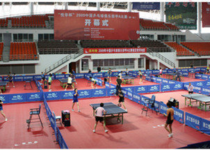 PVC Vinyl Ping Pong Mat Roll Moisture Proof Fiberglass Layer 15m Length