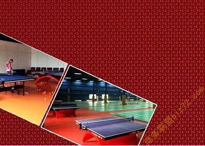 Table Tennis Court PVC Vinyl Roll Flooring Anti - Slip With Glass Fiber Layer