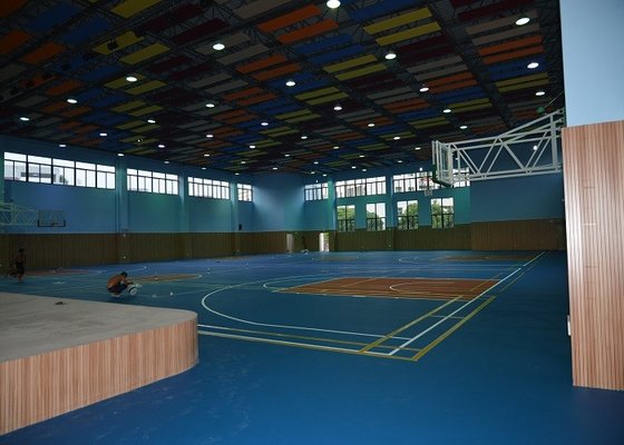 Folding Fixed Type Hydraulic Basketball Stand , Indoor Wall Mounted Basketball Systems