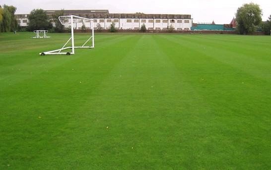 Deep Green Professional Sports Artificial Grass / Football synthetic sports turf UV resistance