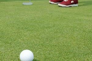 Comfortable Golf Lawn Facilities Sports Artificial Grass Turf PE Material