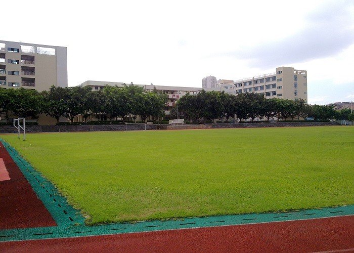 PE Yarn Recycled Fake Artificial Grass For Sports Anti - Aging High Density