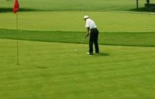 Comfortable Golf Lawn Facilities Sports Artificial Grass Turf PE Material