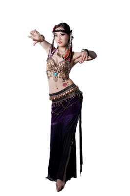 Brown, negro, leopardo que la danza de vientre tribal jadea el sujetador, correa fija/los trajes egipcios de la danza de vientre