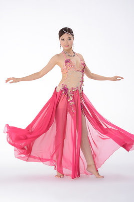 Sistema magnífico del vestido del traje de la bailarina de la danza del vientre de las muchachas con diseño del bordado 3D