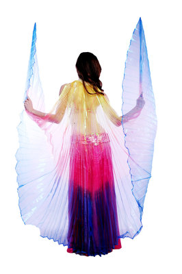 Accesorios de encargo de la danza de vientre, ala de la danza de vientre para el adulto o niño
