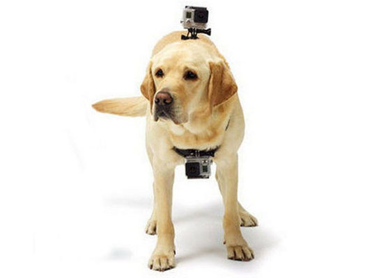 Belt Mount 2pcs Action Camera Strap Black Fetch Dog Harness High Quality