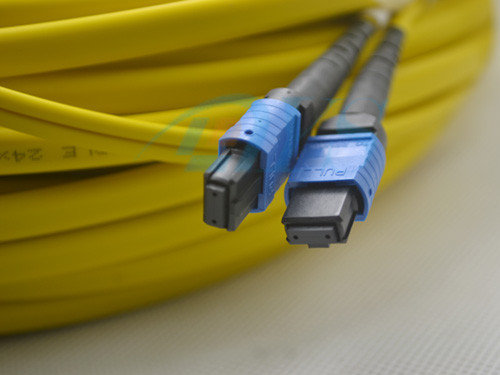 24 MPO/MTP OS2 Cable Optical Fiber Patch Cord To Total Flipped or Pair Flipped