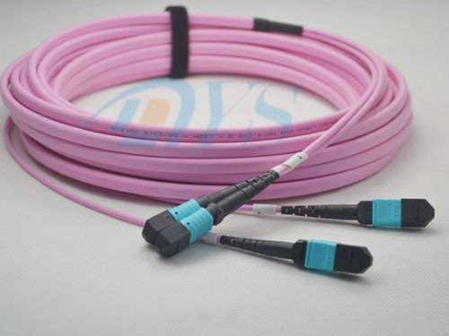 24 OM4 Optical Fiber Patch Cord , Equipment with MPO/MTP interface