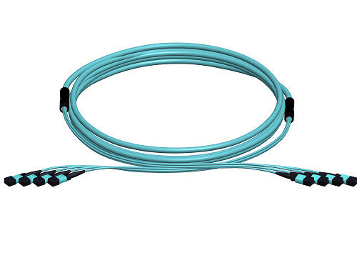 Blue Single mode 12 Fibers MPO MTP Optical Patch Cord SM , MM , OMS