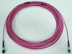 MPO/MTP Trunk Cables,MPO trunk cable assemblies,12,24,48,72,96,144 cores