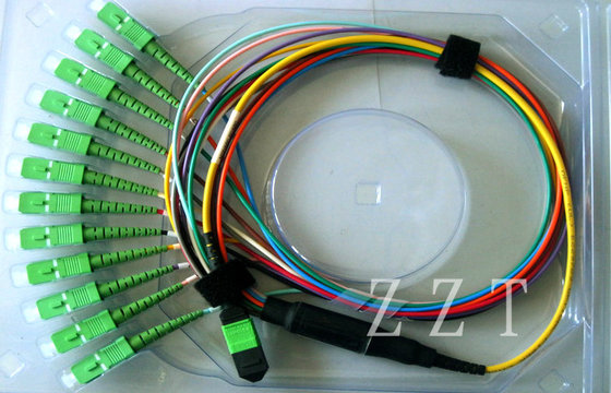 Single Mode MPO MTP Patch Cord Cable Assemblies With IEC-61754-7
