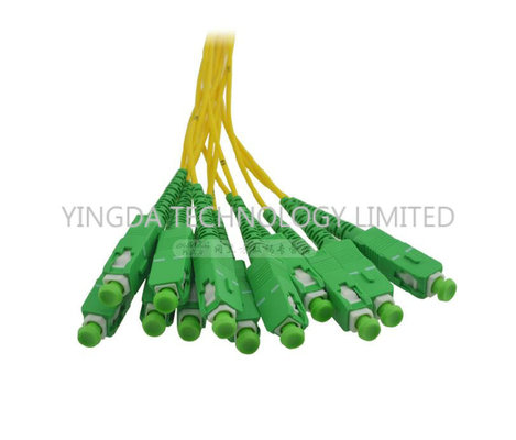 Media Converter 12 Fibers SC APC Fiber Optic Pigtail With Low Insertion Loss