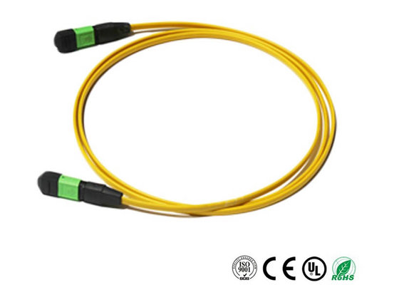 Cavo di toppa a fibra ottica di MPO MTP