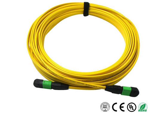 Cavo di toppa a fibra ottica di MPO MTP