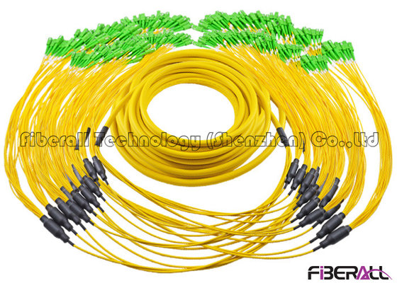 72 Fibers Branch Fiber Optic Jumper Breakout SC / APC - SC / APC For High Density Use supplier