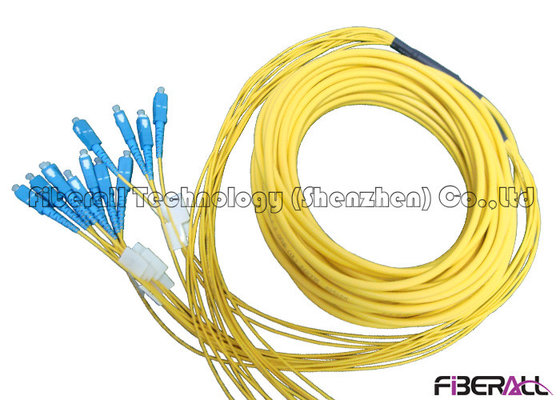 Breakout Type Multicore Fiber Optic Jumper , 12 Fibers Fan out Patch Cord SC To SC supplier