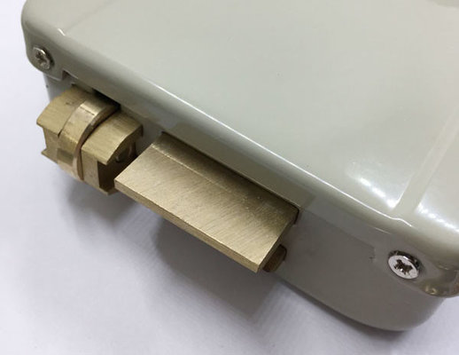 Electronic RFID Gate Lock/Smart Electric Strike Lock