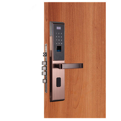 6080plus Biometric Fingerprint door lock Password door lock fingerprint locks