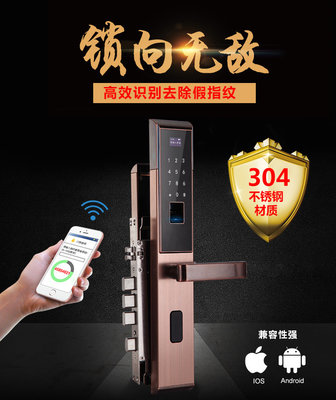 6080plus Biometric Fingerprint door lock Password door lock fingerprint locks