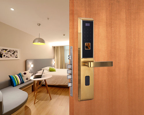 6080plus Biometric Fingerprint door lock Password door lock fingerprint locks
