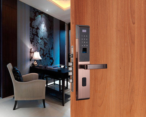6080plus Biometric Fingerprint door lock Password door lock fingerprint locks